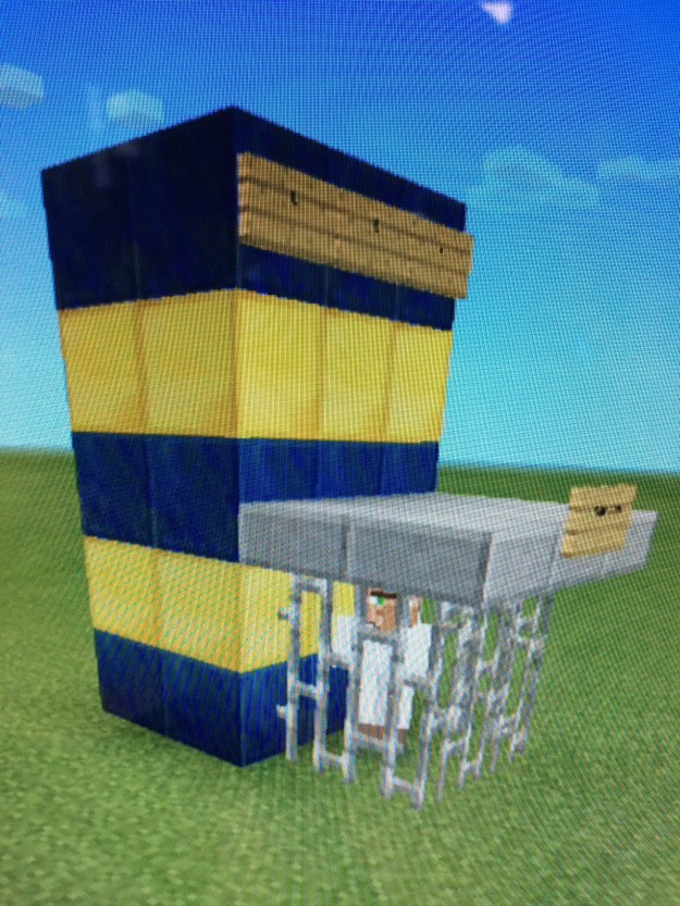 Volume and Minecraft | MathMinds