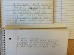 Pre/Post Assessment Reflection | MathMinds