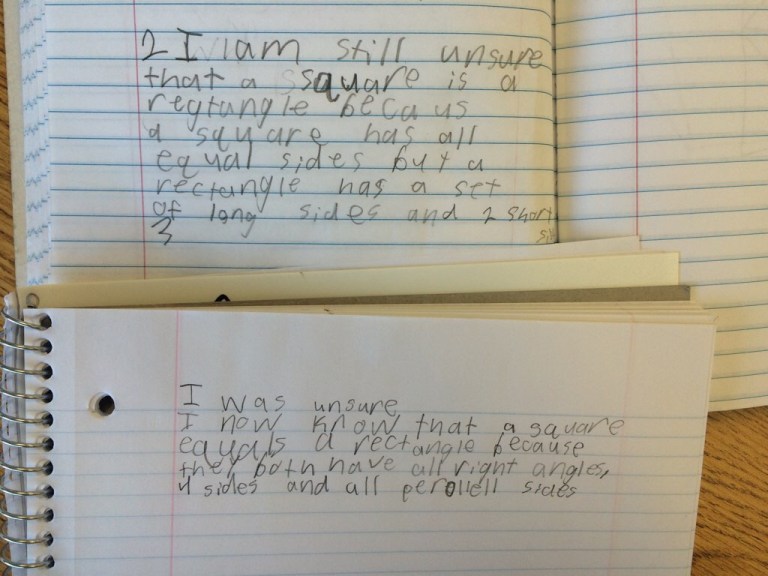 Pre/Post Assessment Reflection | MathMinds