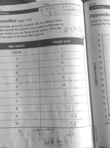 Patterns and Perseverance | MathMinds