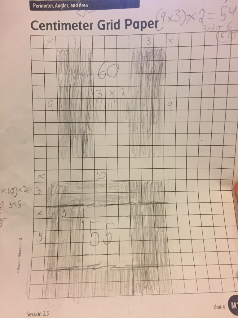 Extending an Area Task | MathMinds